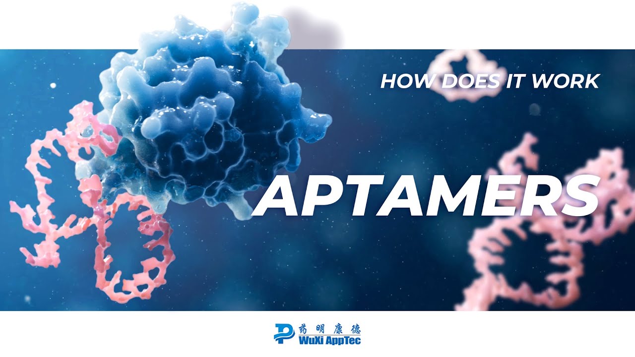 How Does It Work? | Aptamers - YouTube