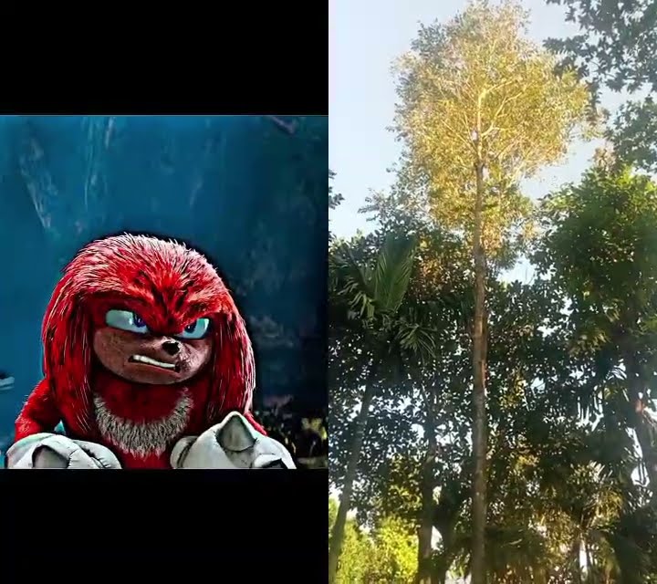 Sonic ka asli pawar - YouTube