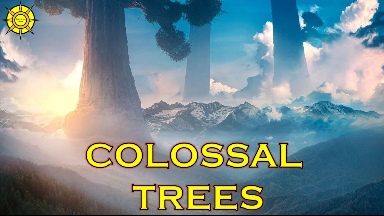 Colossal Trees-A Lost Glory - YouTube