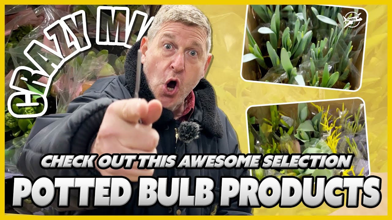 #JFTV Crazy Mike's Assorted Bulb Potted Plants - YouTube
