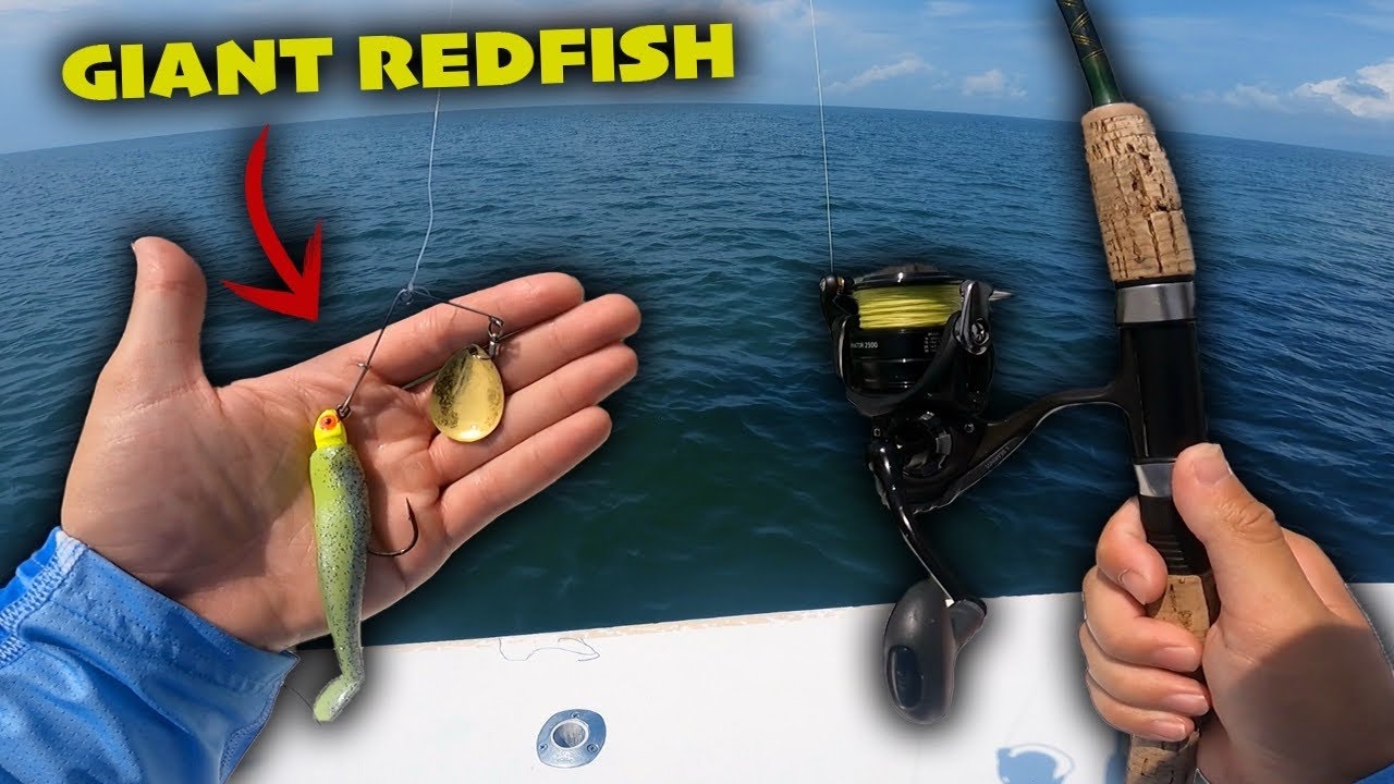 CATCHING MONSTER REDFISH IN OUTER BANKS NORTH CAROLINA! - YouTube