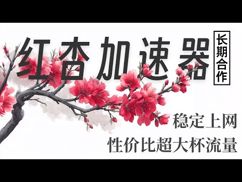 【主力机场】流量超大杯！小七这里最火的机场！稳定上网 畅游世界！红杏云