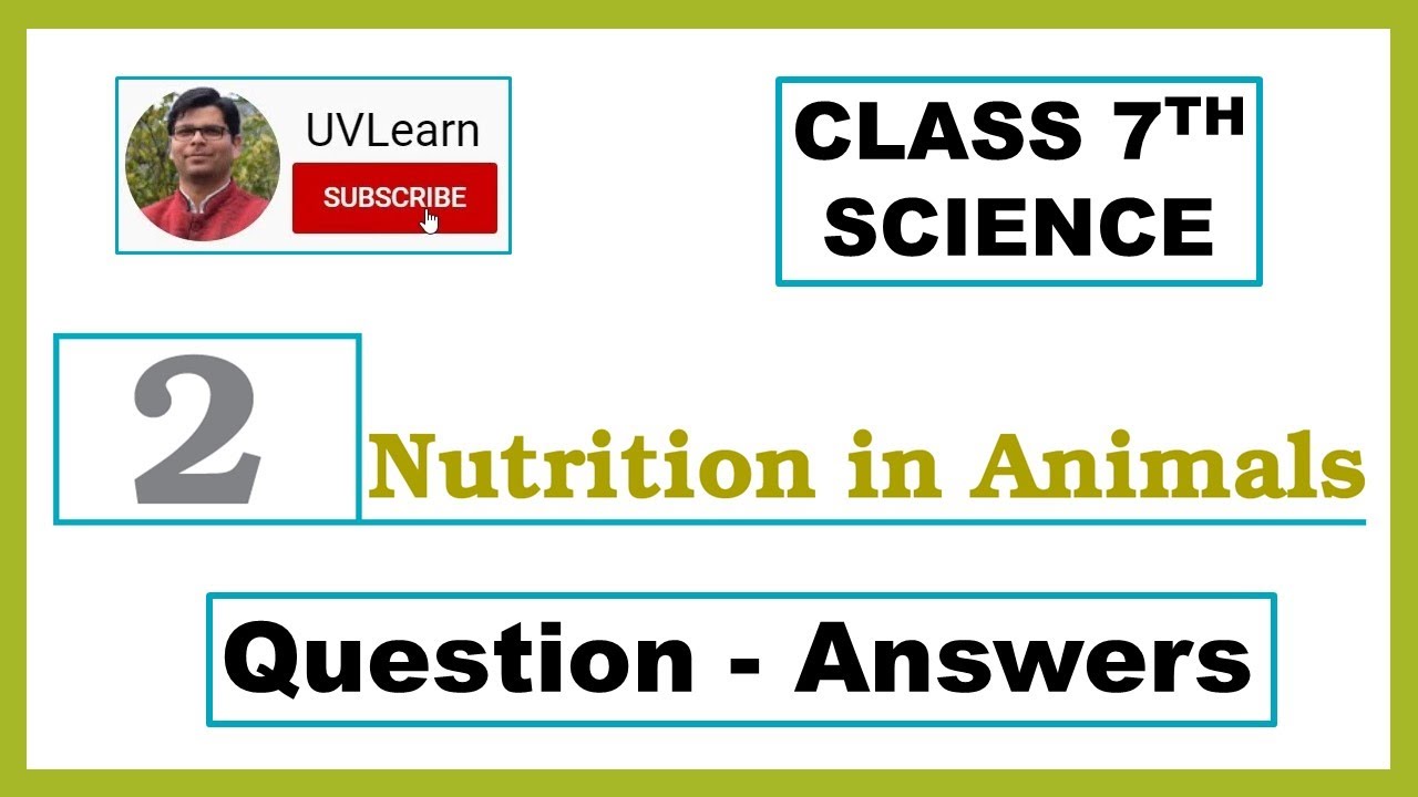 Class 7th Science Chapter 2 Nutrition In Animals Question Answers class-7th-science-chapter-2-nutrition-in-animals-question-answers