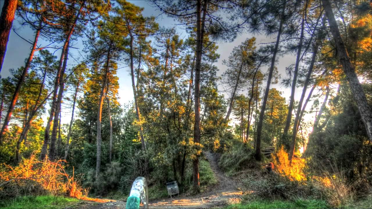 Parco di Galceti Prato - YouTube