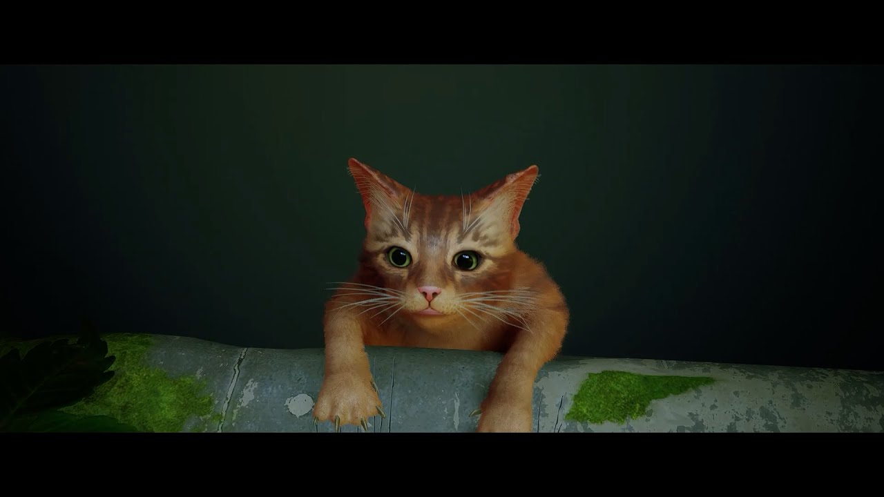 Stray Cat falls off a cliff - 2nd cut scene - YouTube