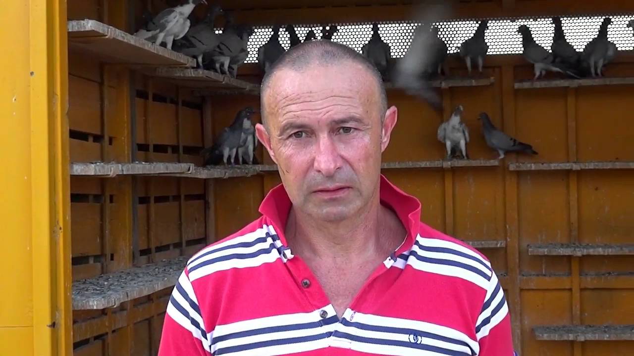 ΠΕΡΙΣΤΕΡΙΑ ΒΟΥΤΕΣ ΣΥΛ, ΒΕΡΟΙΑΣ ΠΙΤΣΟΥΝΙΑ 2016 - YouTube