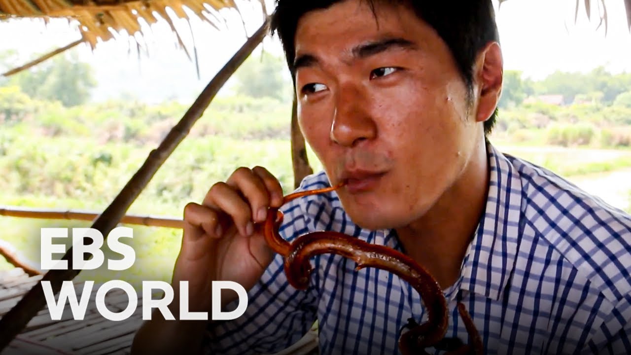 A Feast of Snake Dishes! | Cambodia’s Exotic Insect Dishes | World ...