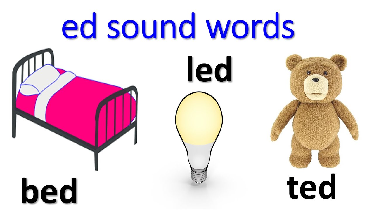 Phonics For kids || 'ed' sound word || 'ed' words || 'ed' word family ...