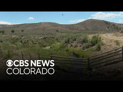 Ranchers sell cattle as drought worsens in Colorado, and creeks and reservoirs reach historic lows