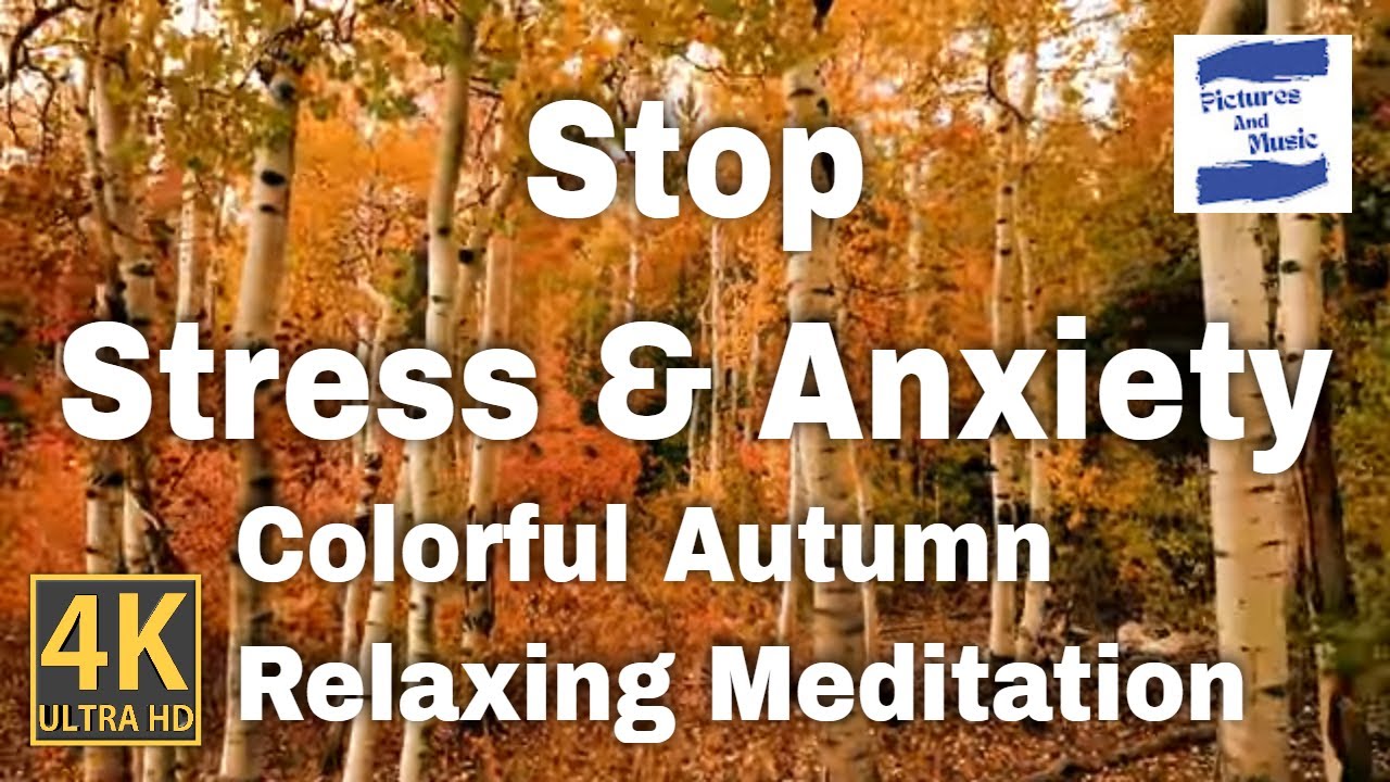 Stop Stress & Anxiety With Colorful Autumn Scenery & Relaxing ...