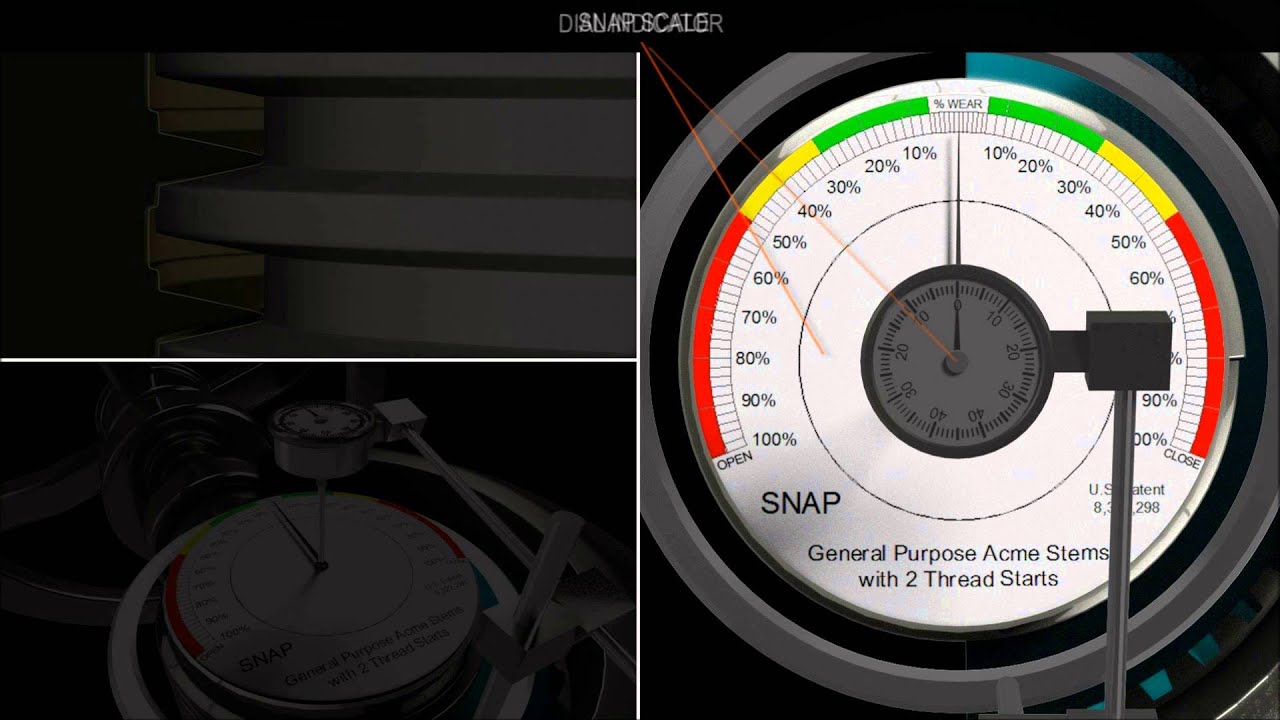 SNAP Animation with Audio - YouTube