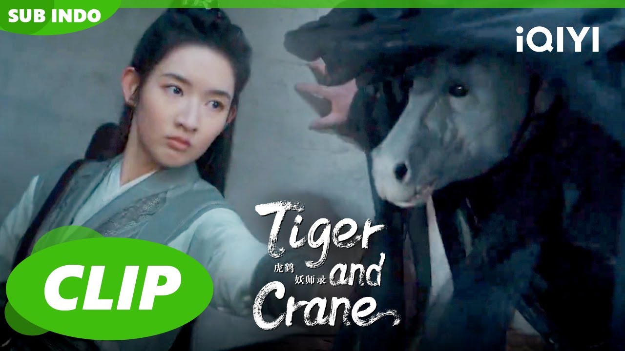 Xintong bertarung melawan Pi Yao | Tiger and Crane |CLIP |EP10| iQIYI ...