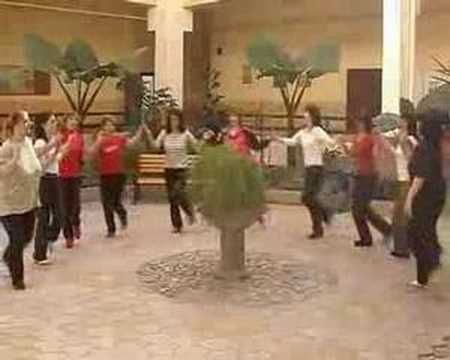 Dunavsko horo - YouTube