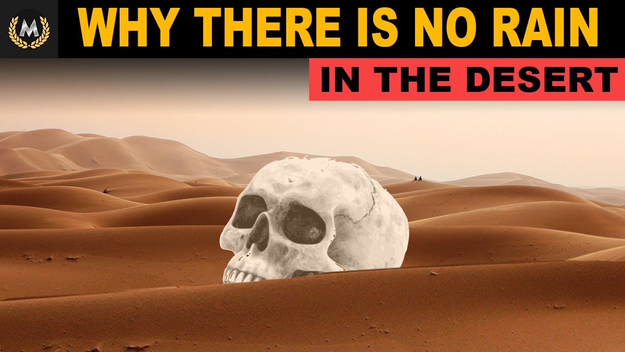 It's a DESERT because there is no RAIN, or there is no RAIN because it's a DESERT? - YouTube