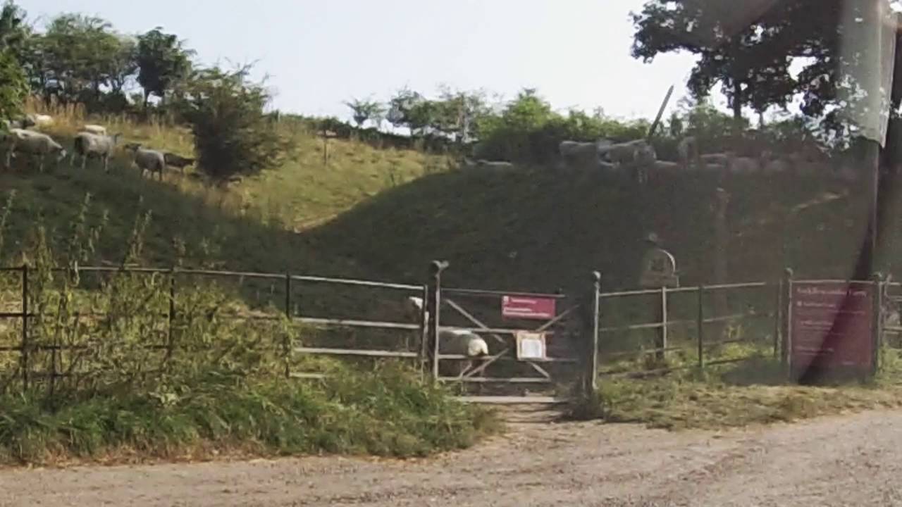 Welcome to Saddlescombe Farm - YouTube