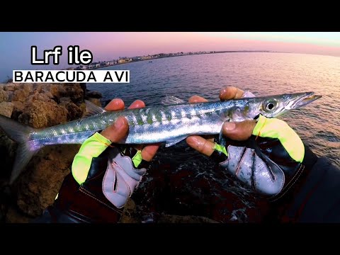 LRF İLE BARACUDA AVI | ufacık sahteler ile buyuk heyecan | baracuda saatı ve sahte secimi