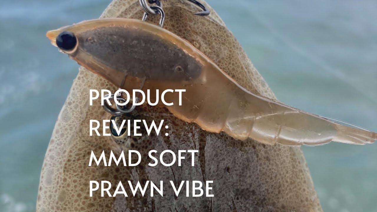 New lure review: This thing slays! MMD soft prawn vibe 🎣😍 - YouTube