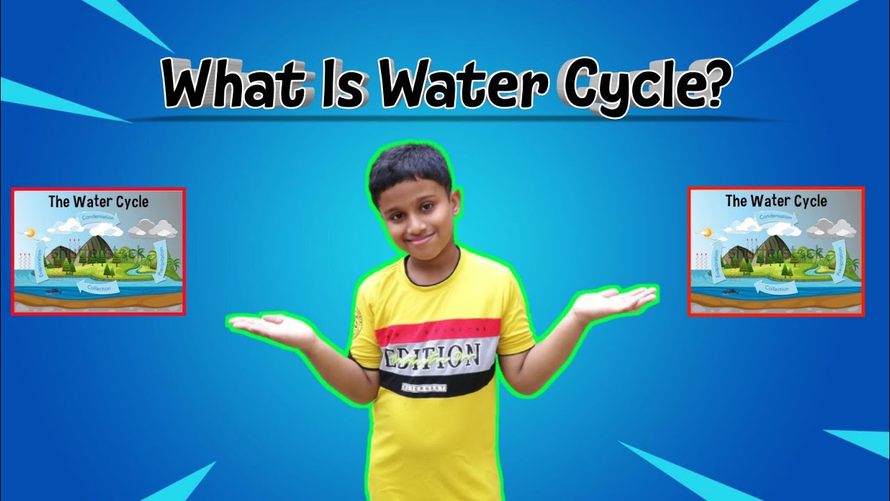 Water Cycle | What Is Water Cycle? | Water Cycle Explained In English ...