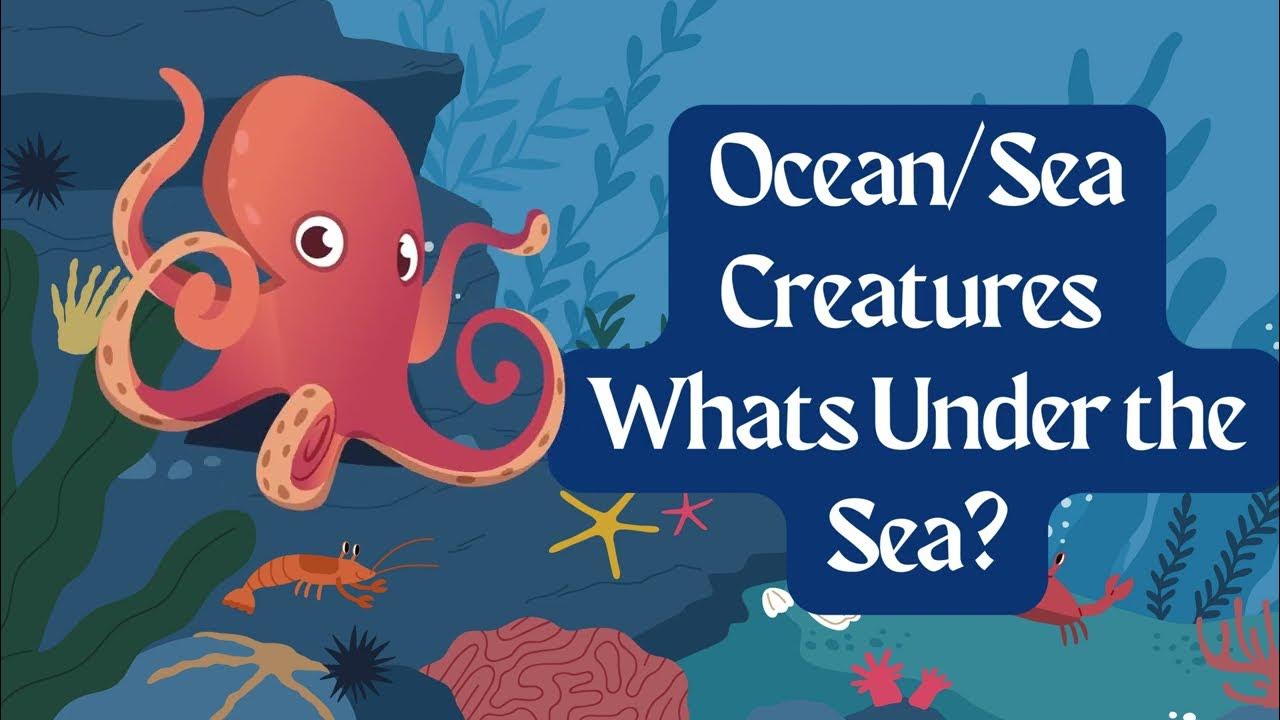 Ocean and Sea Animal Names | Interesting Facts for Kids | Fun Factory ...