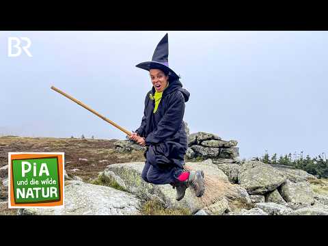 Hexerei im Harz | Reportage für Kinder | Pia und die wilde Natur | BR