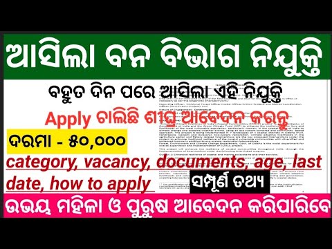 Divisional Forest Officer (DFO) Recruitment 2025 ll Apply Now ll Full ...