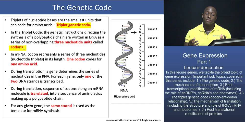 GAMSAT: The Expression of Genes - Part 1 - The triplet genetic code ...