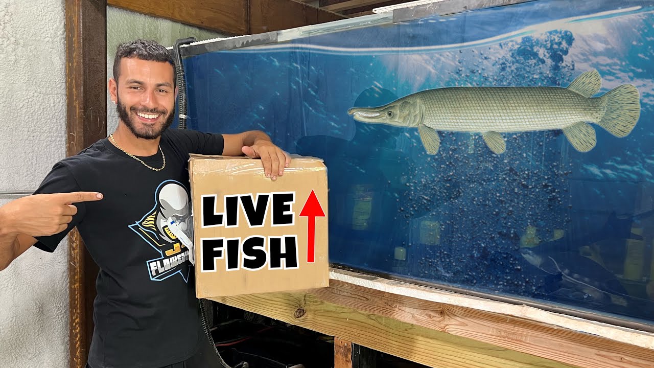 WHAT RAREST NEW FISH DID I BUY FOR MY GALLERY! - YouTube