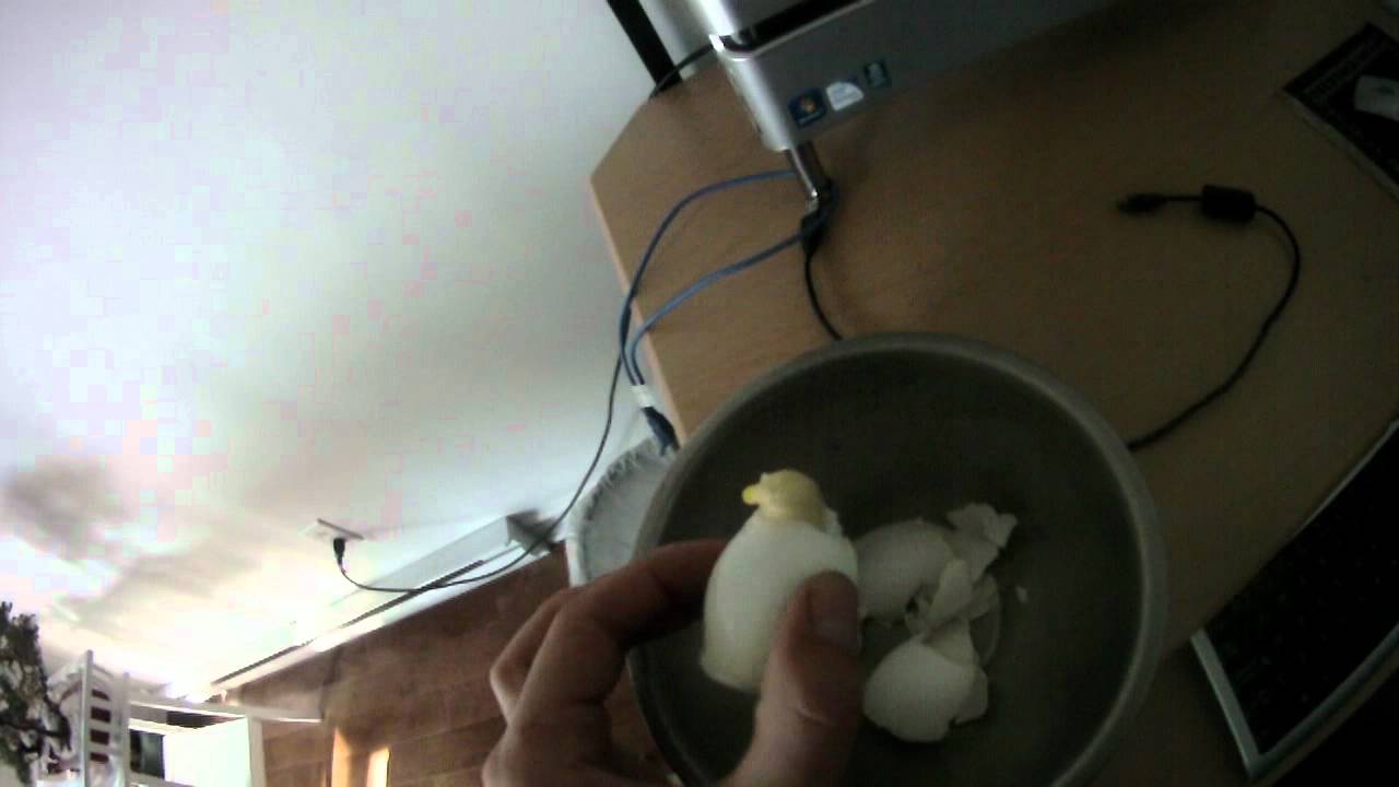 Live Bird boiled in egg. - YouTube