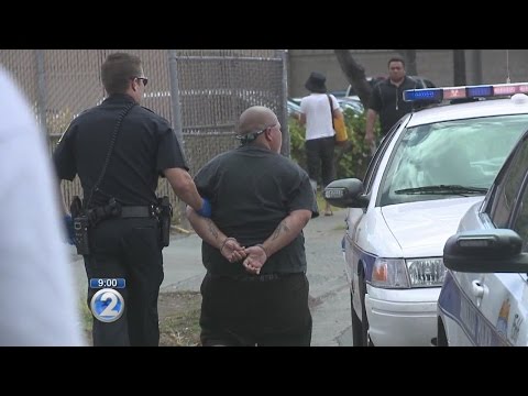Woman allegedly pulls knife on officer during road rage incident