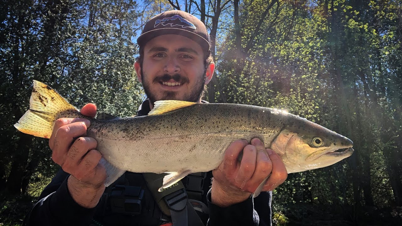 Spring Steelhead Fishing + What I Use and My Setup - YouTube