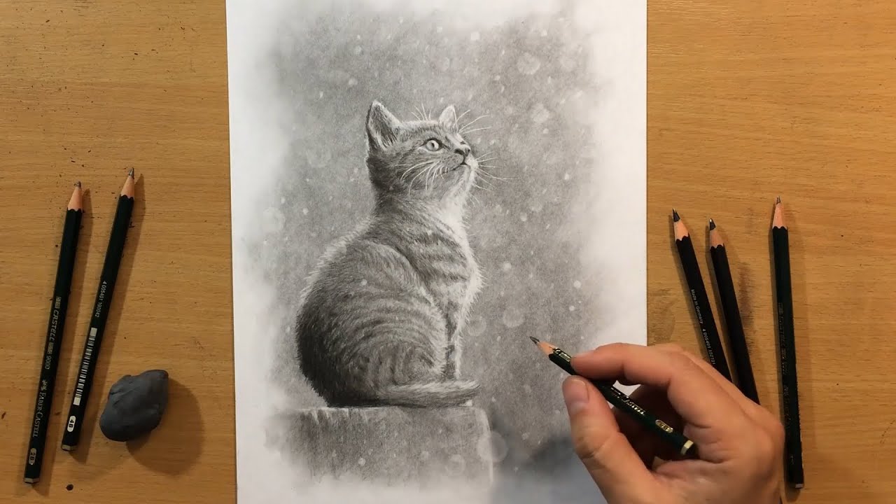 Graphite Pencil Drawing of a Kitten - YouTube