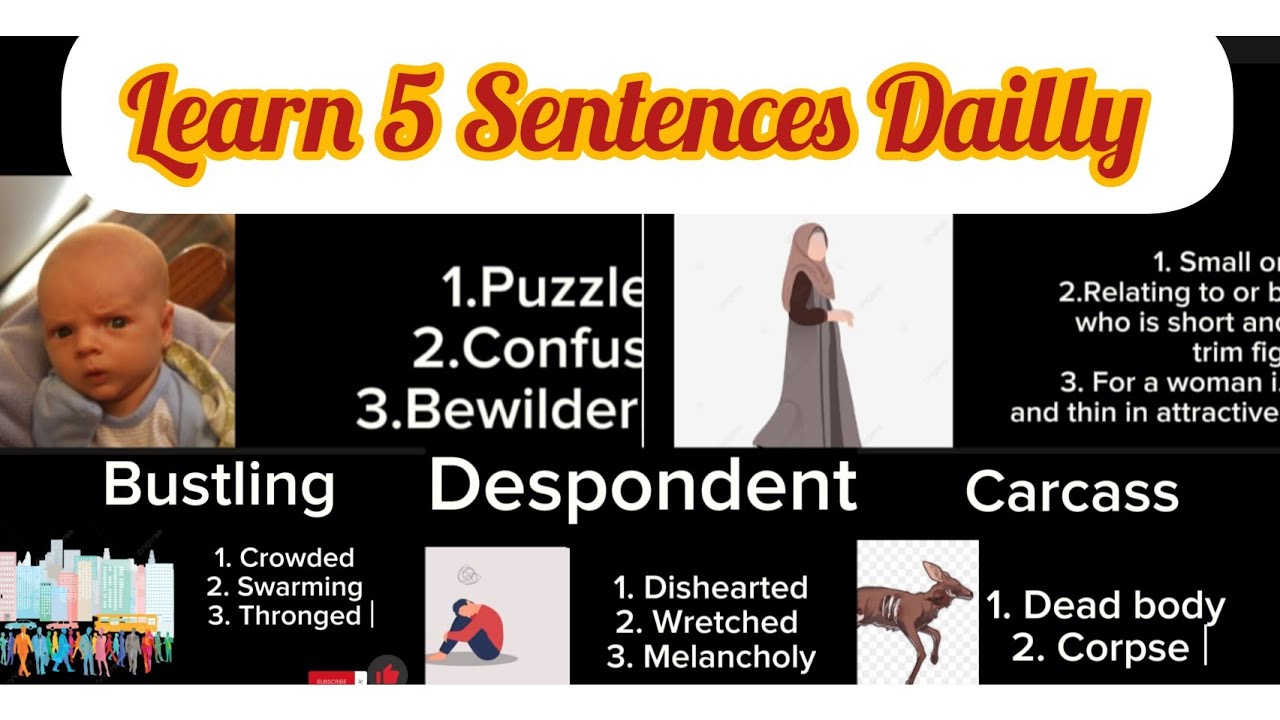 Learn 5 sentences Daily || #petite #perplexed #Despondent #carcass # ...