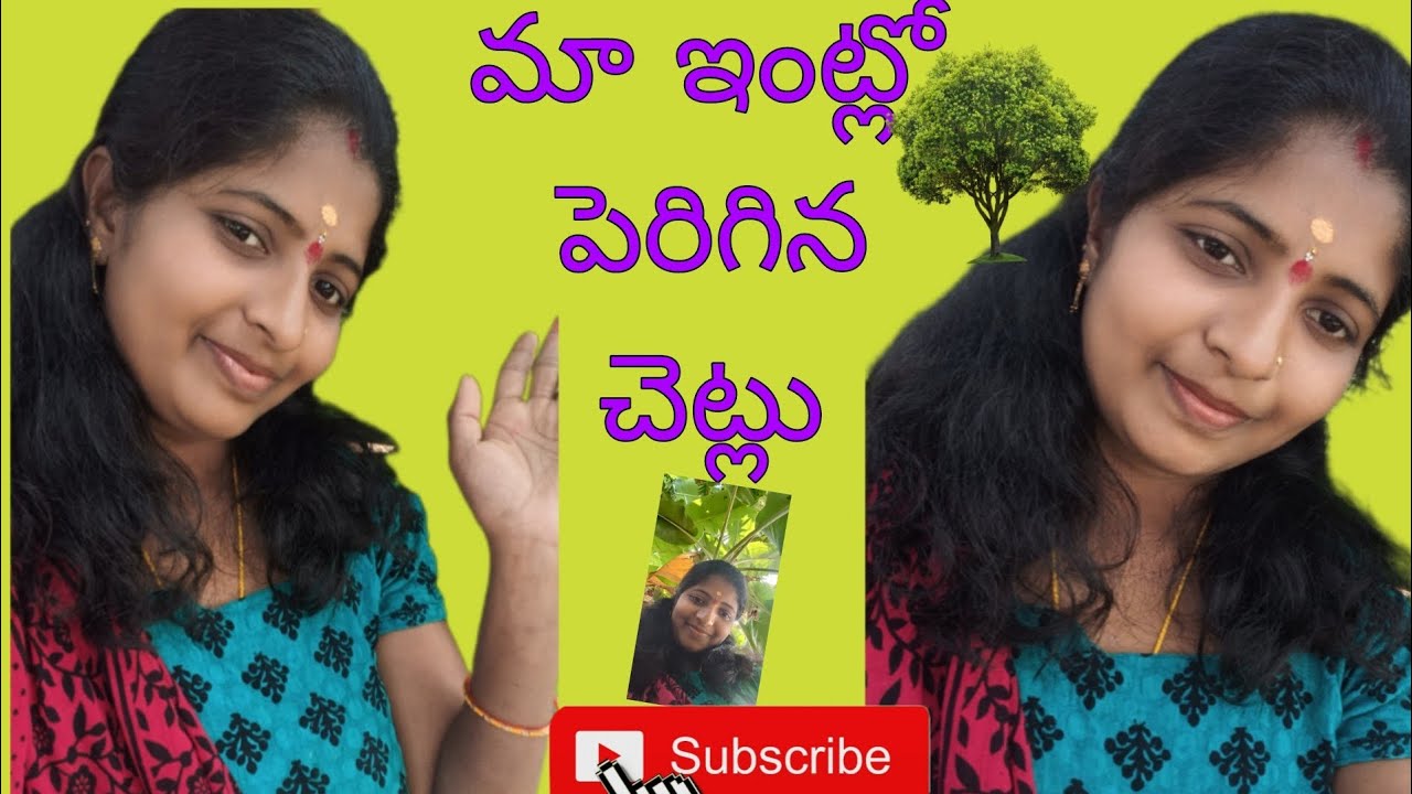 ma entlo unna chetlu🥰#new #telugushorts #youtube #trees - YouTube