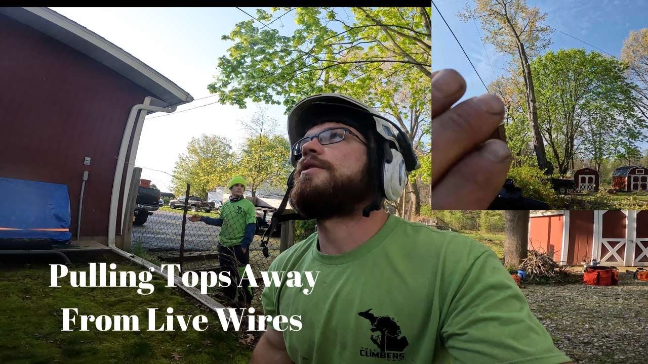 Two birds stoned at once- silver maple removal and solo job struggles ...