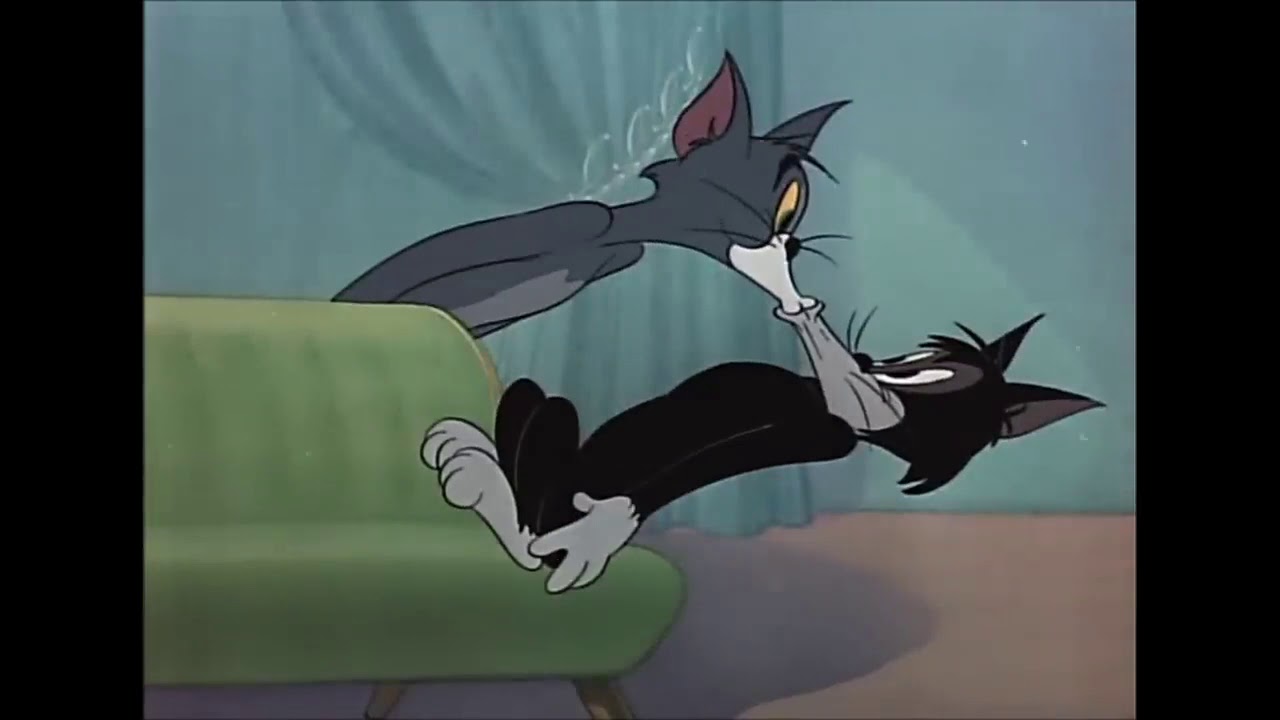 Tom and Jerry, 55 Episode Casanova Cat 1951 1 - YouTube