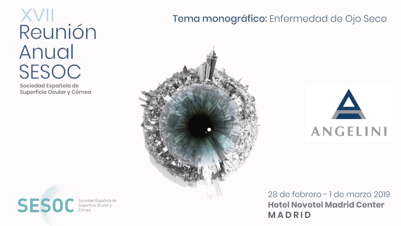 Debate del sexto bloque de la XVII Reunión Anual SESOC - YouTube