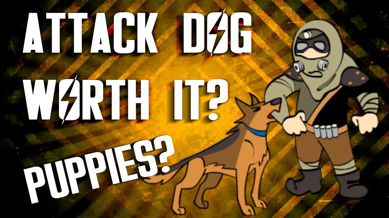 Fallout 4 - Attack Dog Perk - Is It Worth It? - YouTube
