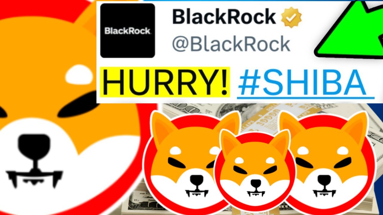 SHIBA INU: 1 MINUTE FROM HISTORIC EVENT! (EXACT PUMP DATE REVEALED ...