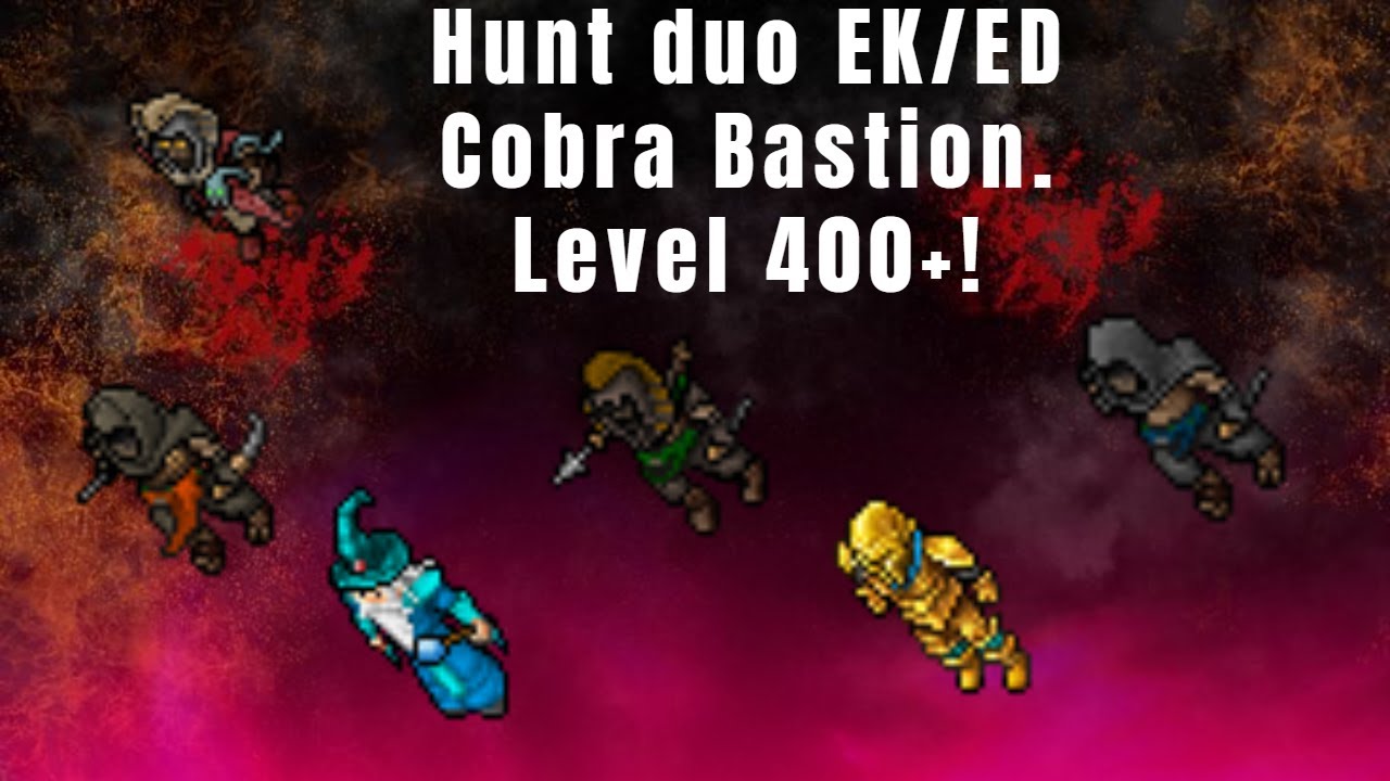 Tibia hunt duo EK e ED - Cobra Bastion (lvl 400+). 14kk/h de EXP com ...