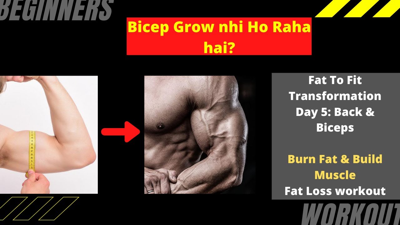 Fat To Fit Transformation Series || Day 5: Back & Biceps || AT ...