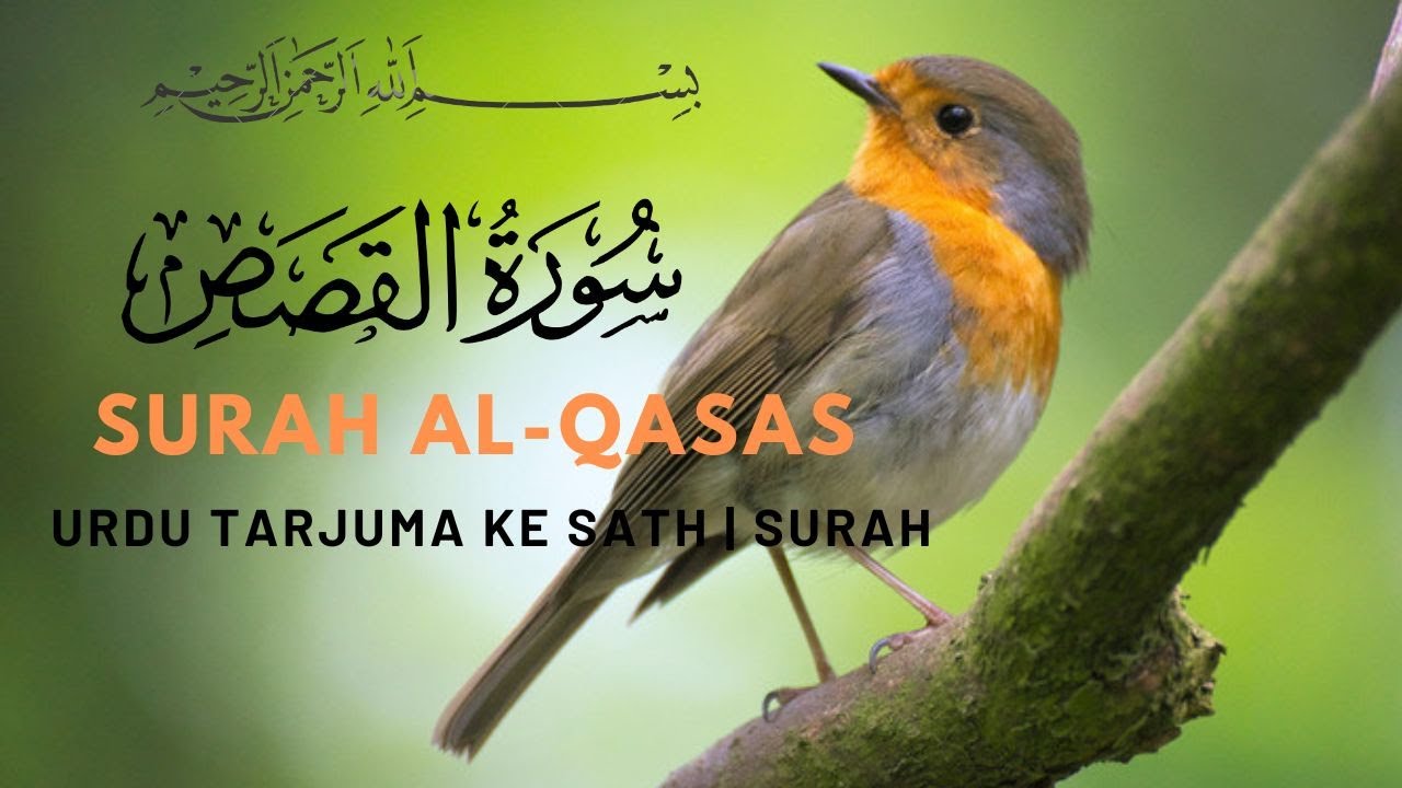 Surah Al-Qasas Full || By dawateislami With Arabic Text (HD)| سورة ...