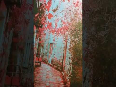 Fikrimden geceler ( COVER )