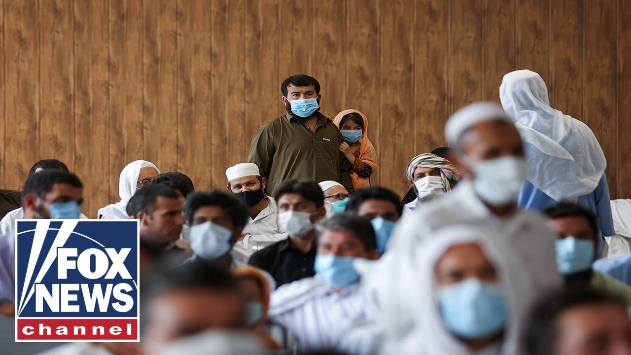 Unvetted Afghan nationals treated better than US veterans: Stephen ...