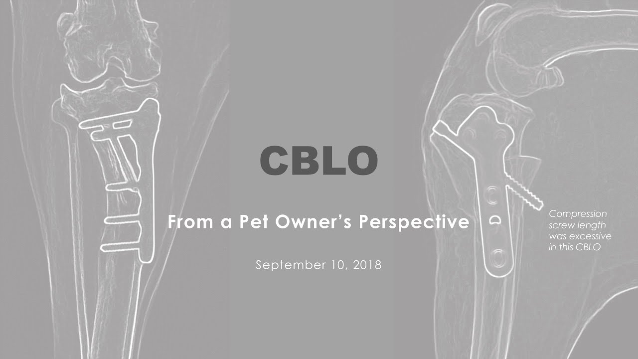 CBLO - CORA Based Leveling Osteotomy - Cruciate Surgery in Dogs: Client ...