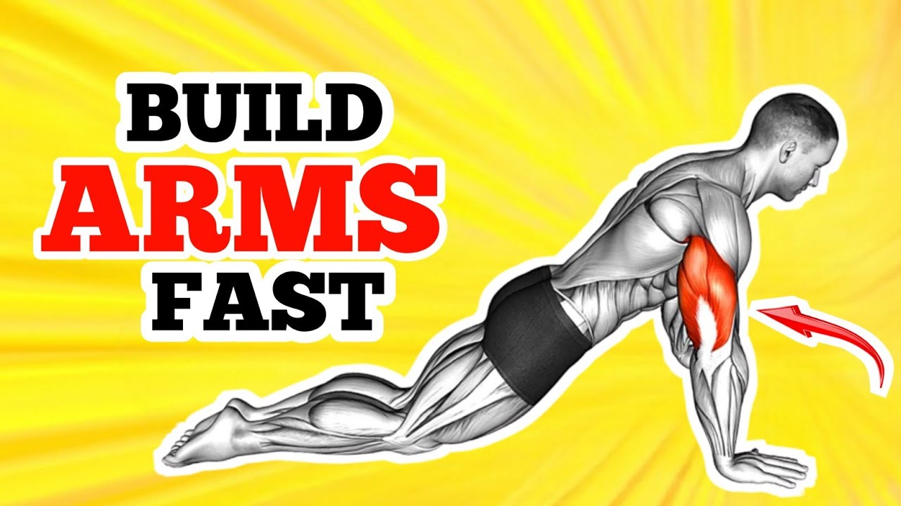 10 Great Exercises Every Body Should Try To Build Muscle Arms ( Biceps ...