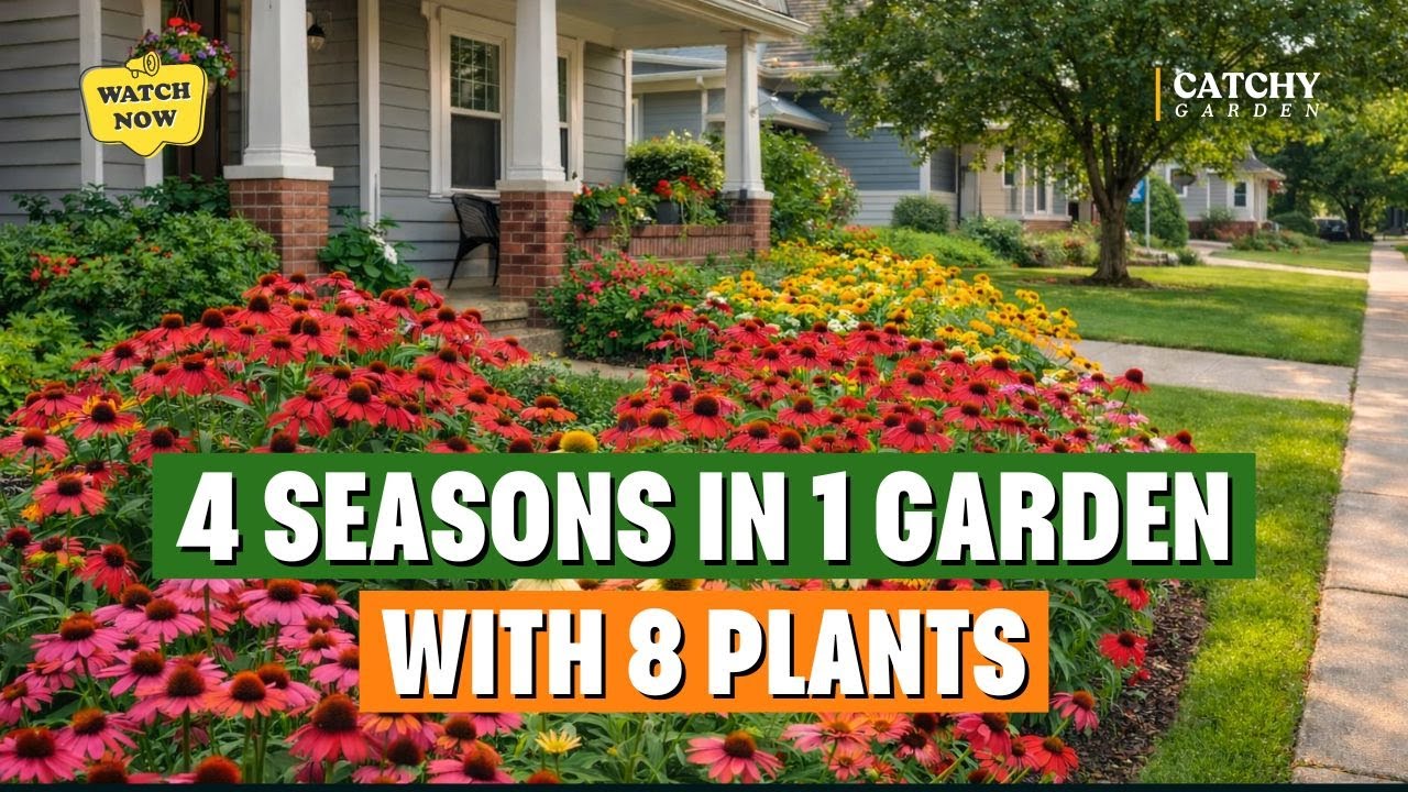 Top 8 Secret Plants to Keep Your Garden Colorful 365 Days a Year 🌸 🌼 🌻 ...