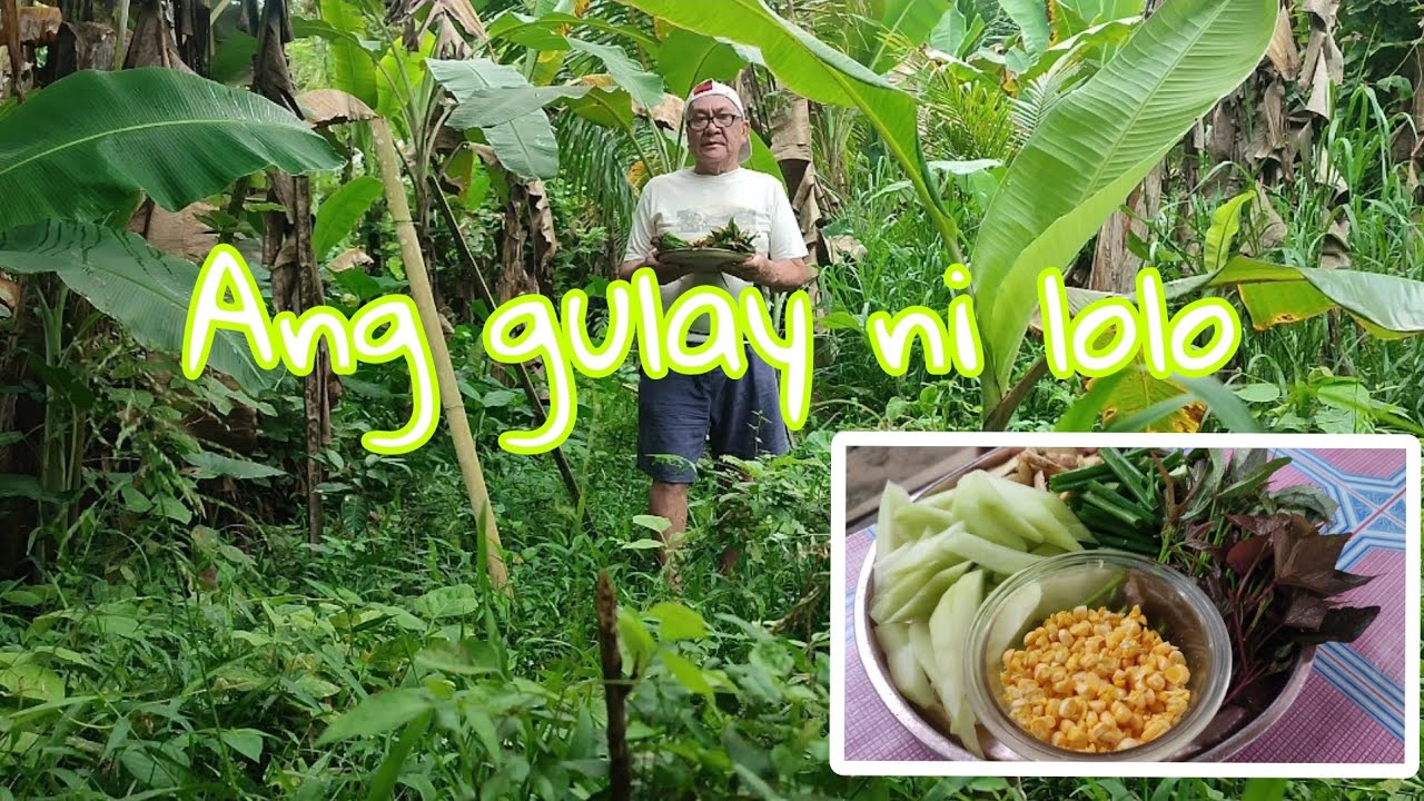 Ang masustansiyang gulay na niluto ni Lolo| Kasipat Vlogger - YouTube