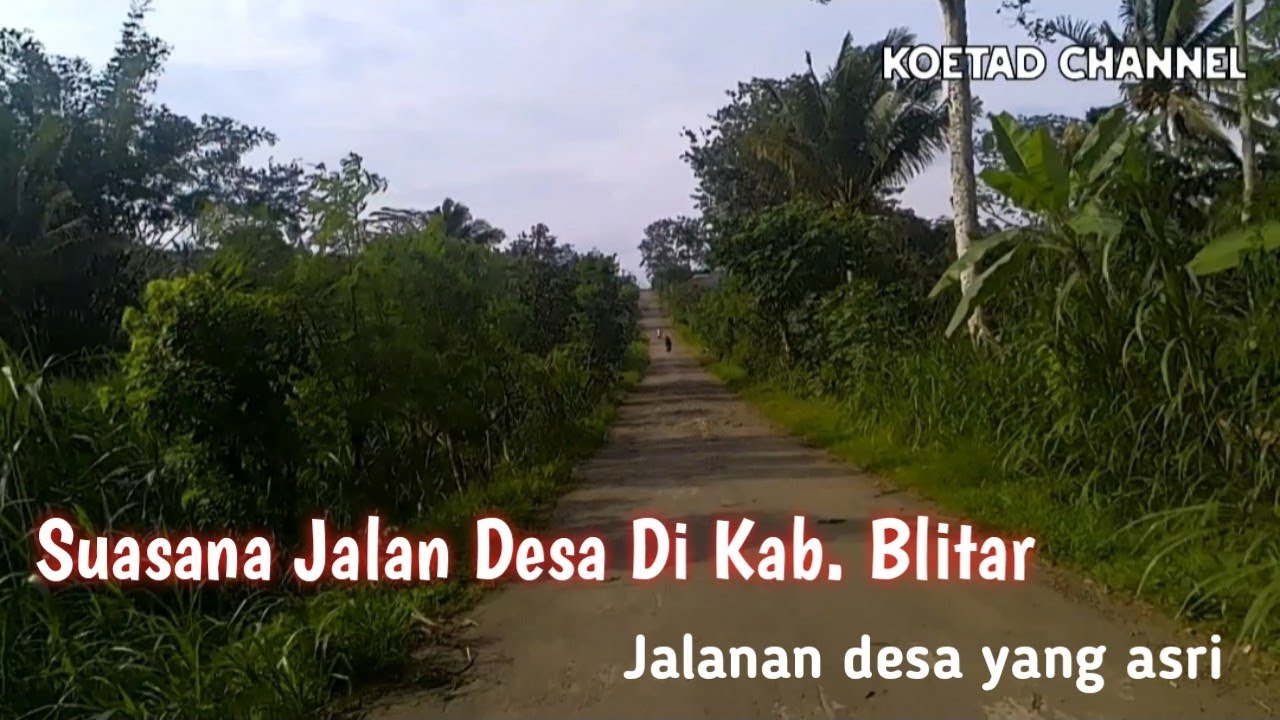 menikmati suasana jalanan desa diwilayah kecamatan wates kabupaten ...