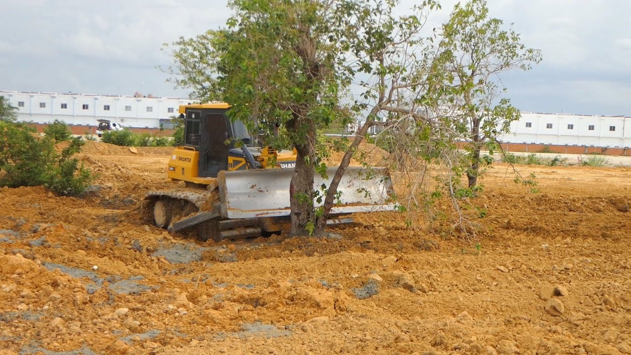 OMG! The Best Dozer SHANTUI Push the big tree and Small and large land ...
