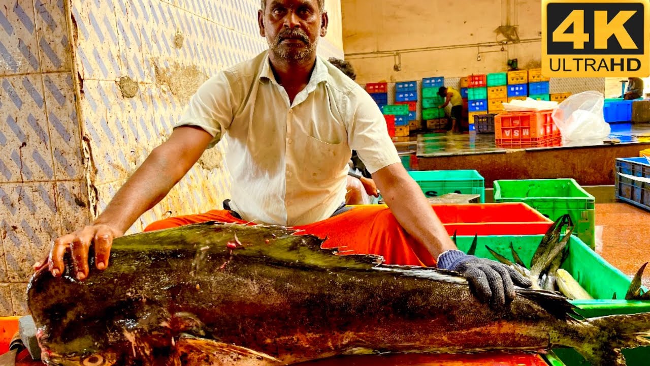 Paral fish cutting video/fishcuttingrs#fish#kasimedu #fishcuttingrs ...